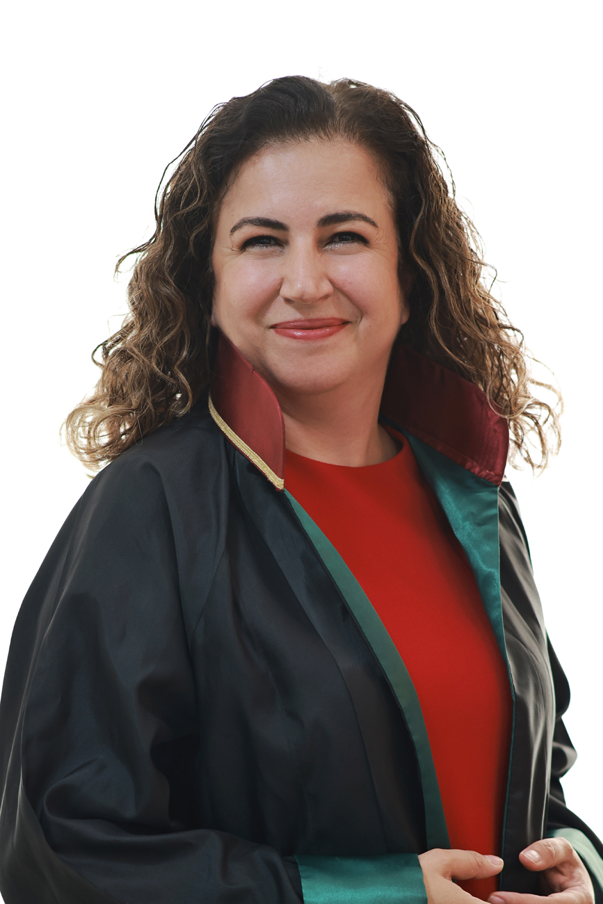 Disiplin Kurulu - ADANA BAROSU